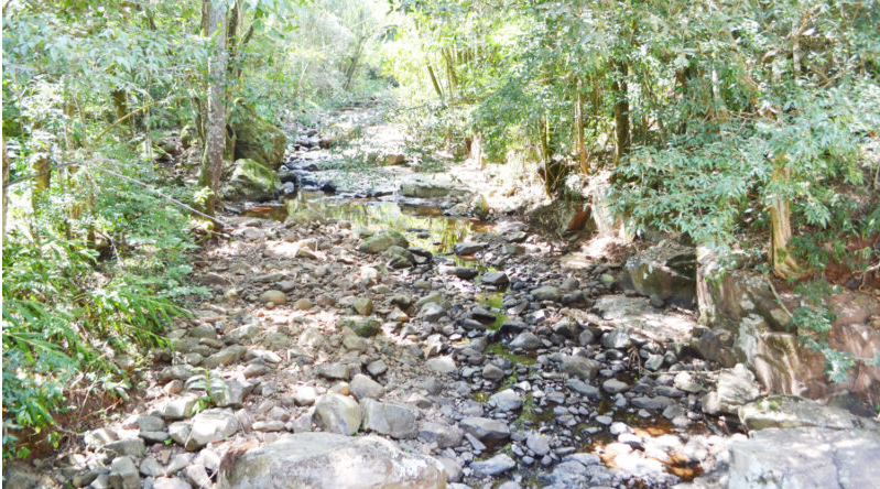 Xavantina decreta Situação de Emergência devido a estiagem - Verde Vale FM Xavantina decreta Situação de Emergência devido a estiagem - Verde Vale FM